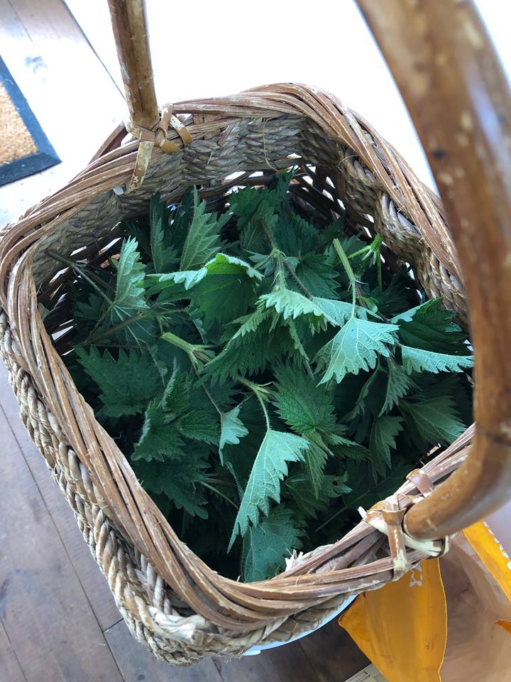 A test of mettle. And nettle. – Thirsty at the Watertower